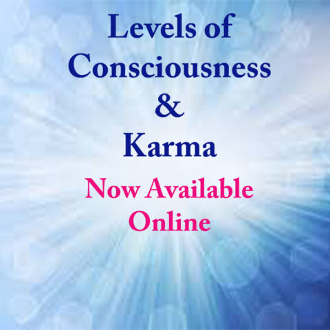 Levels of Consciousness & Karma | Chakra Life